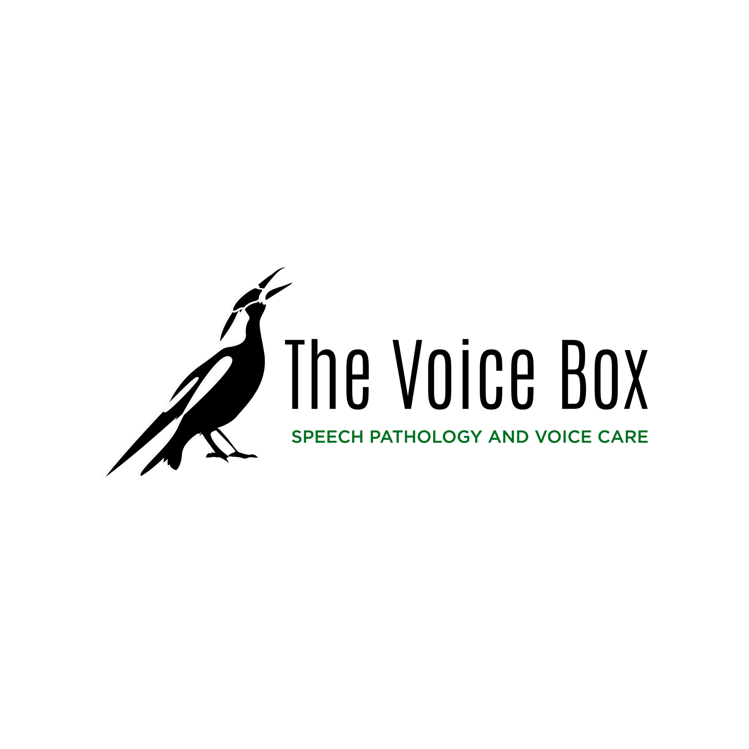 The Voice Box Speech Pathology and Voice Care | Home Visit Network